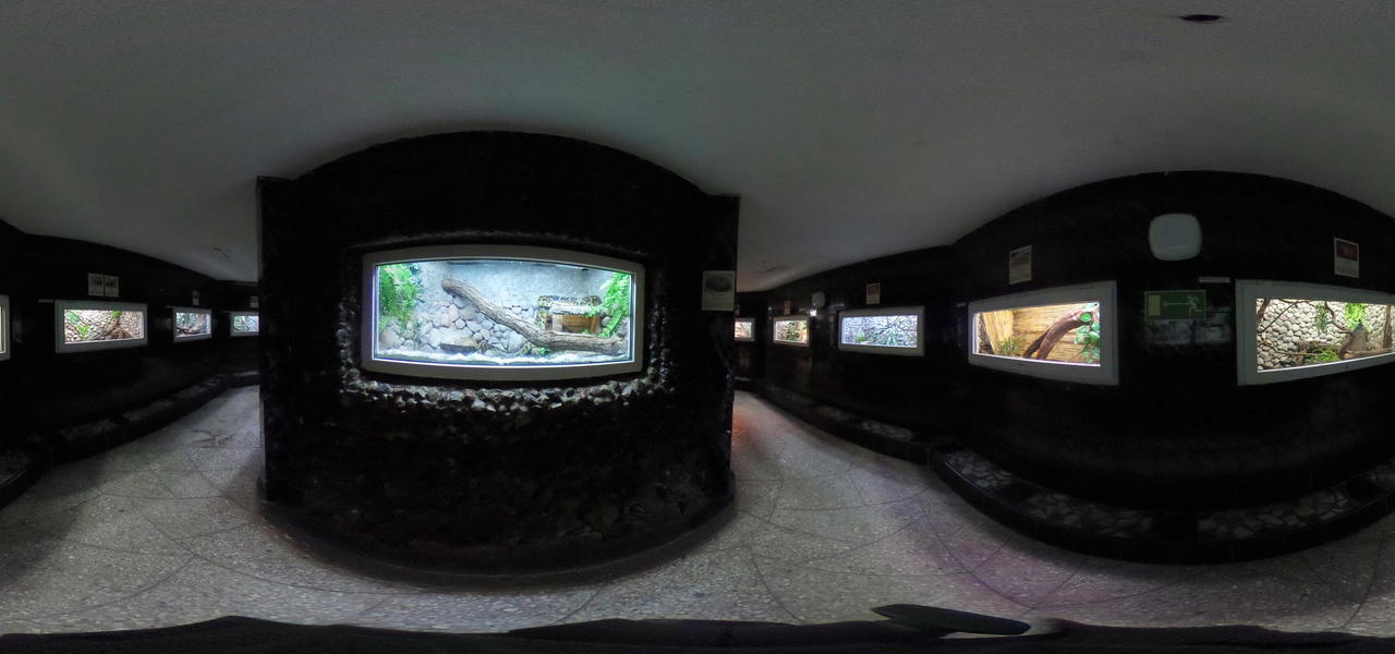 Terrarium | 360° panorama | iCompass.info | TrueVirtualTours