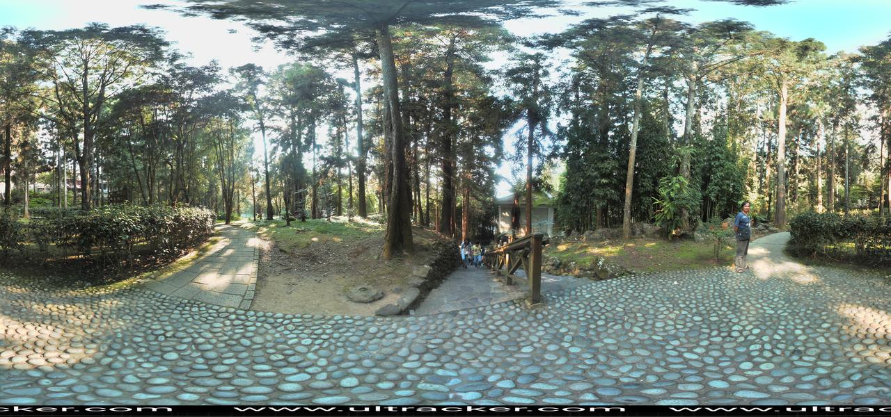 Aleta S2C 360 - Forest | 360° panorama | Aleta S2C 360 camera ...